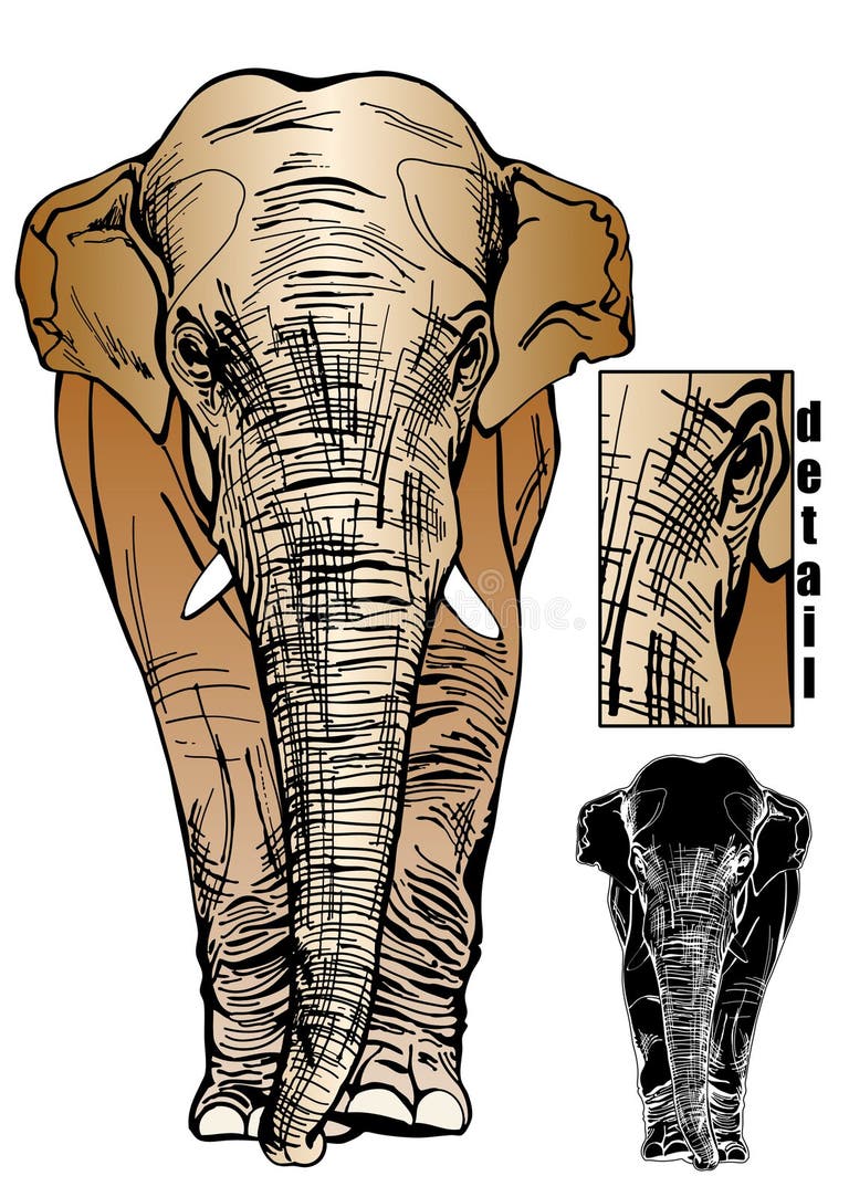 Muscular Elephant Cartoon Stock Illustrations – 68 Muscular Elephant ...