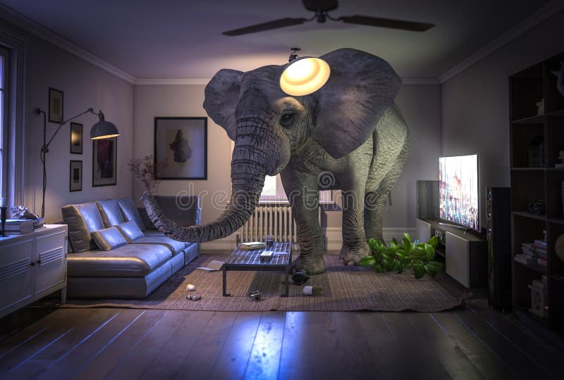 Elephant in a room stock image. Image of concept, problem - 27903543