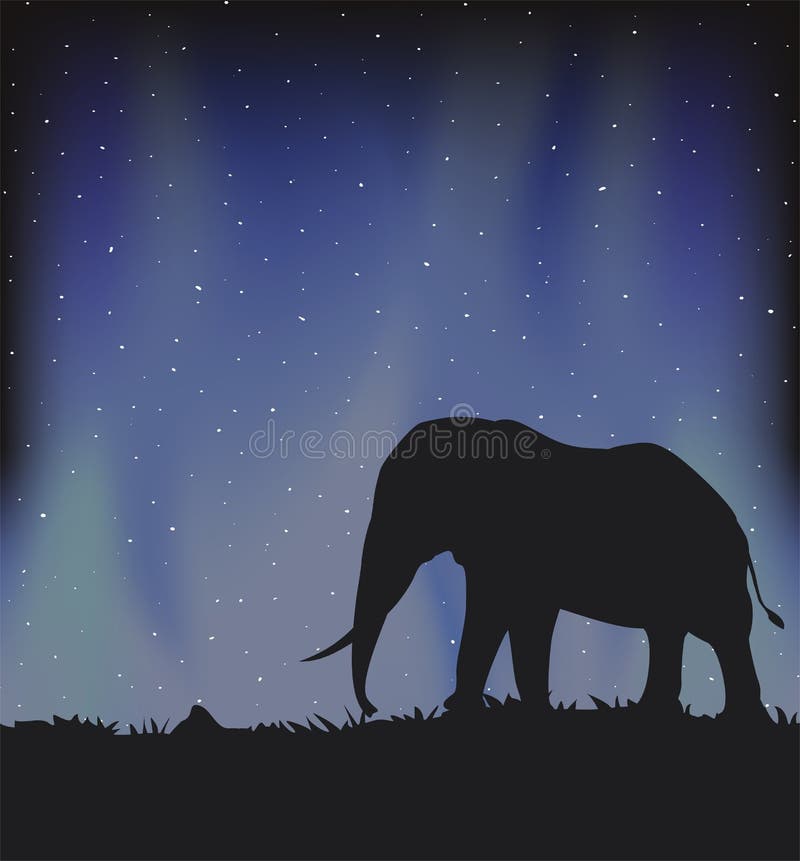 Big Elephant Walking in the Night Stock Vector - Illustration of india ...