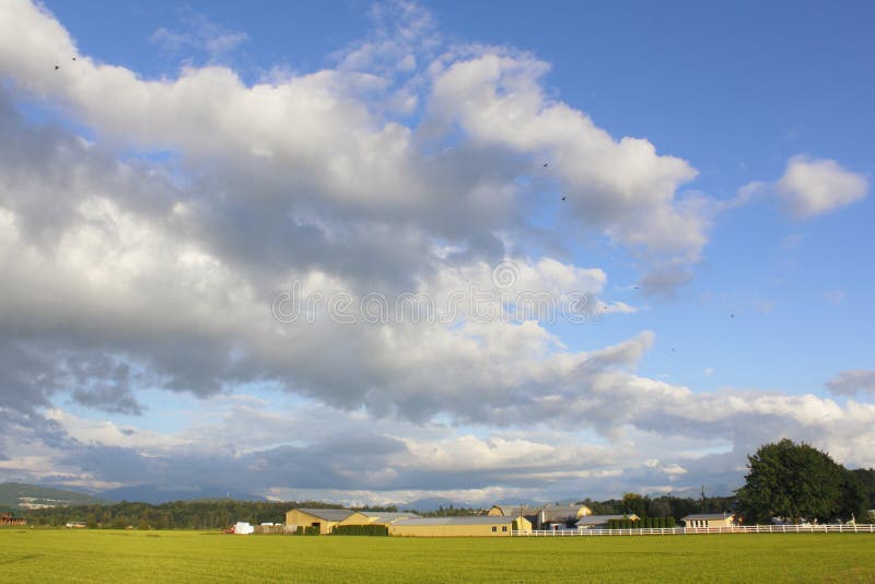 A Big Evening Landscape in Rural Canada Stock Image - Image of cumulous ...