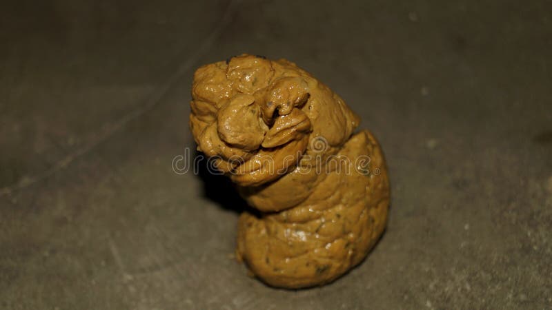 Big Excrement stock photo. Image of fresh, smell, nasty - 84538564