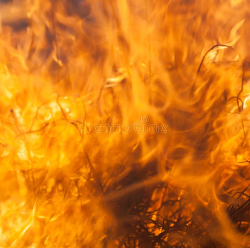 Big fire in the field stock image. Image of calamity - 183420603