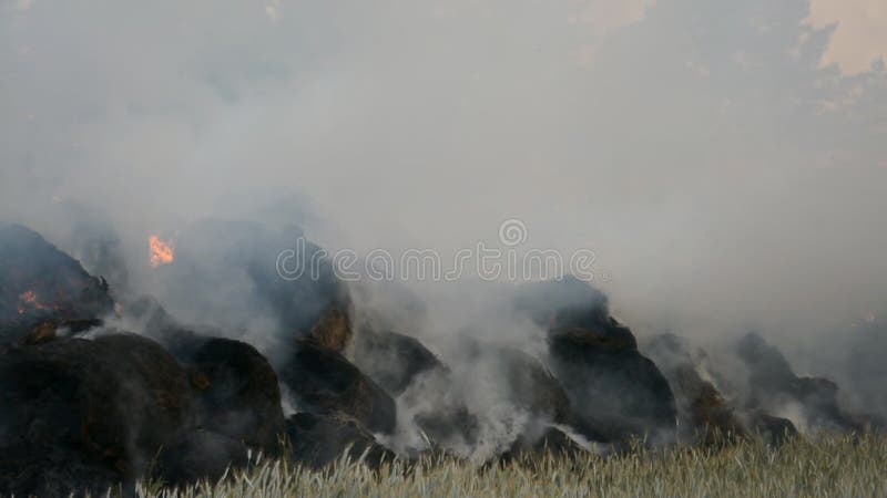 The Big Extensive Fire in the Field Stock Footage - Video of flame ...