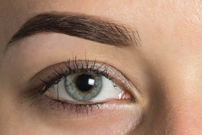 Big Eye Eyebrow after Correction Stock Photo - Image of natural ...