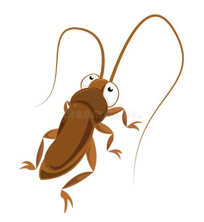 Big-eyed cockroach stock vector. Illustration of american - 28491726