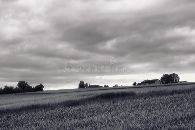 A Big Farm House with Three Fields in Front of it Stock Image - Image ...