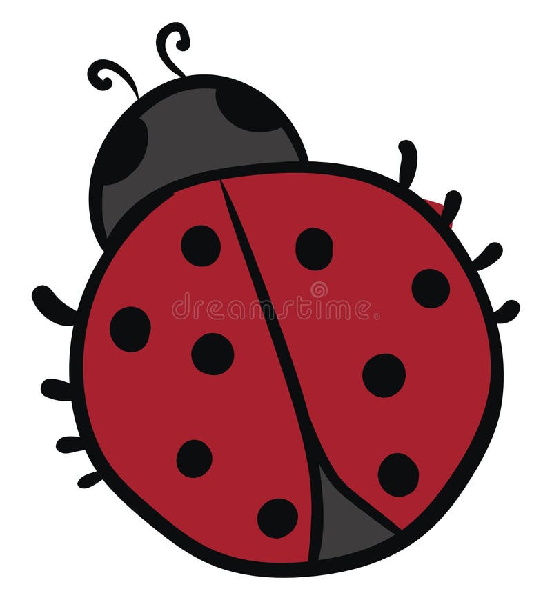 Fat Ladybug , Vector or Color Illustration Stock Vector - Illustration ...