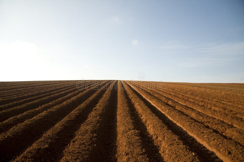 Big field stock image. Image of farming, fields, land - 12363209