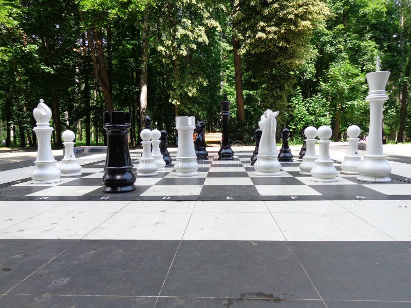 Big Figures of Chess with Trees on the Background. Stock Image - Image ...