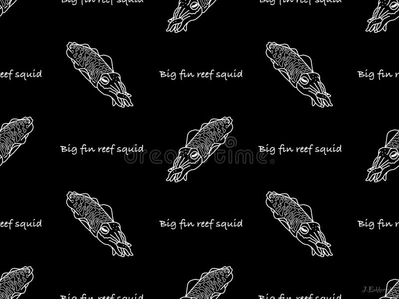 Big Fin Reef Squid Seamless Pattern on Black Background Stock ...