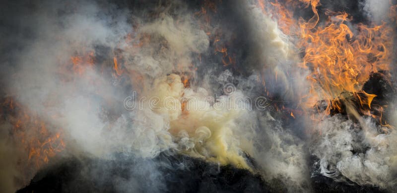 Fire in nature stock photo. Image of charred, flame - 123437494