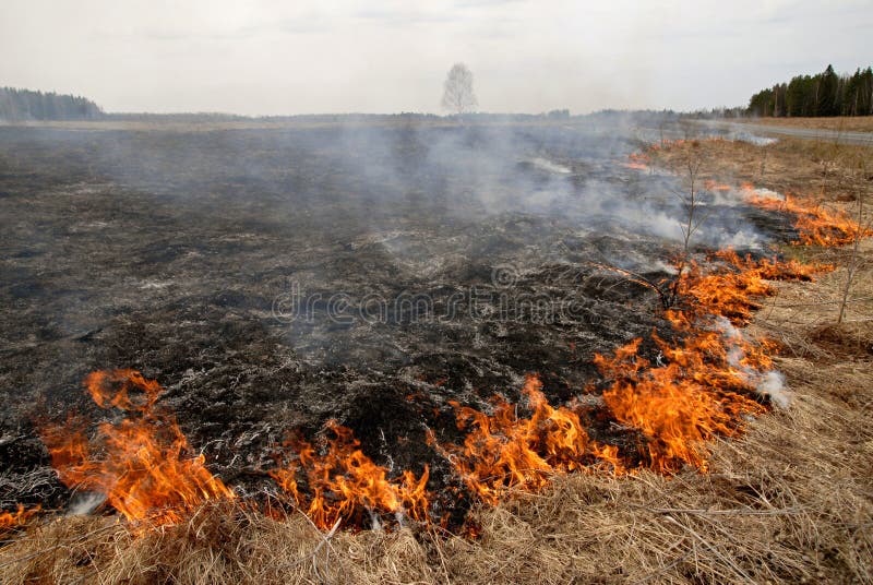 Big Fire in the Dry Grass Field. Stock Image - Image of land, nature ...
