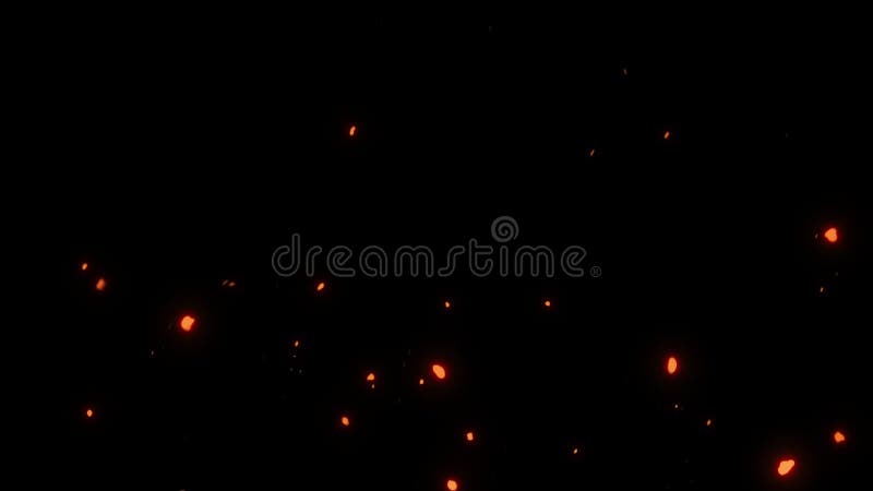 Ember Particles Animation. Particles Animation. Fire Ember. Loop ...