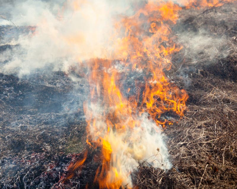 The big fire in the field stock photo. Image of burnt - 183577458