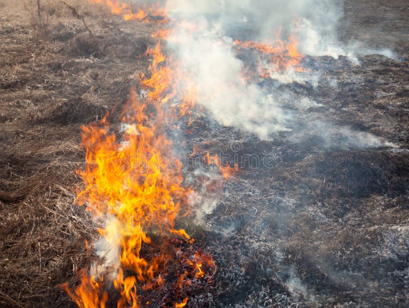 The big fire in the field stock image. Image of cinder - 184613313