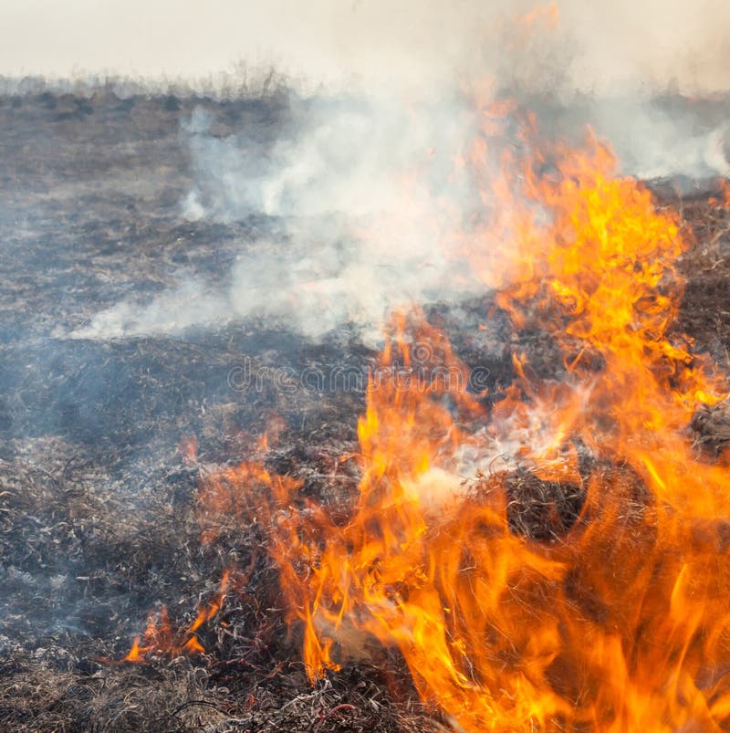 The big fire in the field stock image. Image of blaze - 179373043