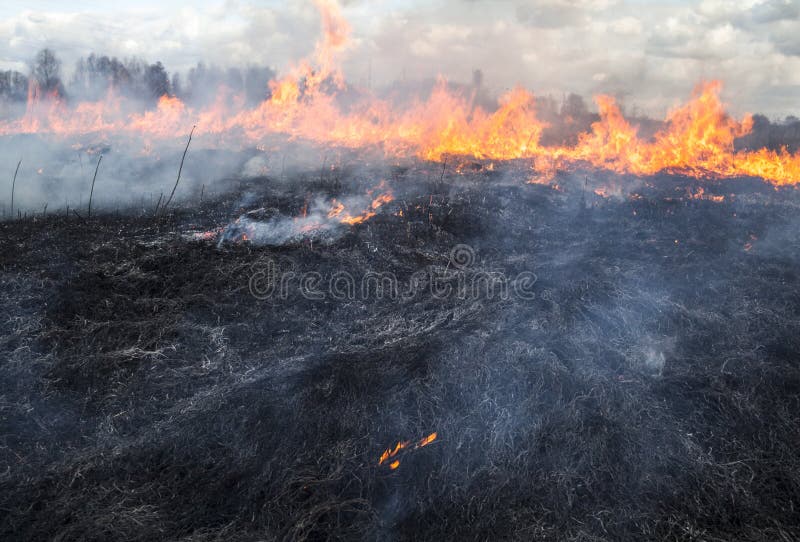 The big fire in the field stock image. Image of flame - 179663995