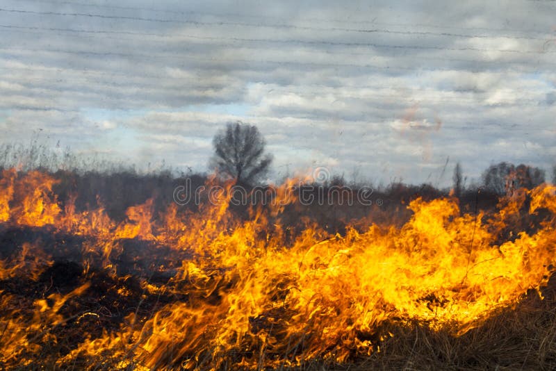 Big fire in the field stock photo. Image of dangerous - 153210612