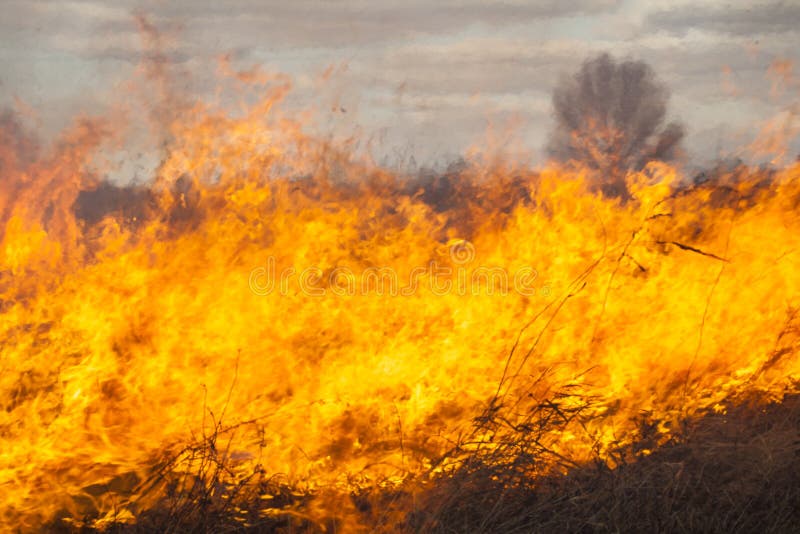 Big fire in the field stock image. Image of fire, environment - 179809197
