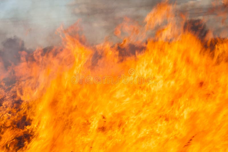 Big fire in the field stock photo. Image of grassland - 149321566