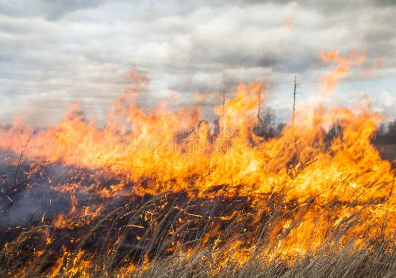 Big fire in the field stock photo. Image of heat, environmental - 149326502