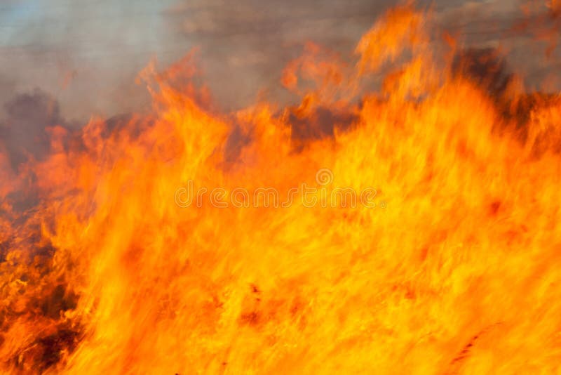 Big fire in the field stock photo. Image of heat, ecology - 177271742