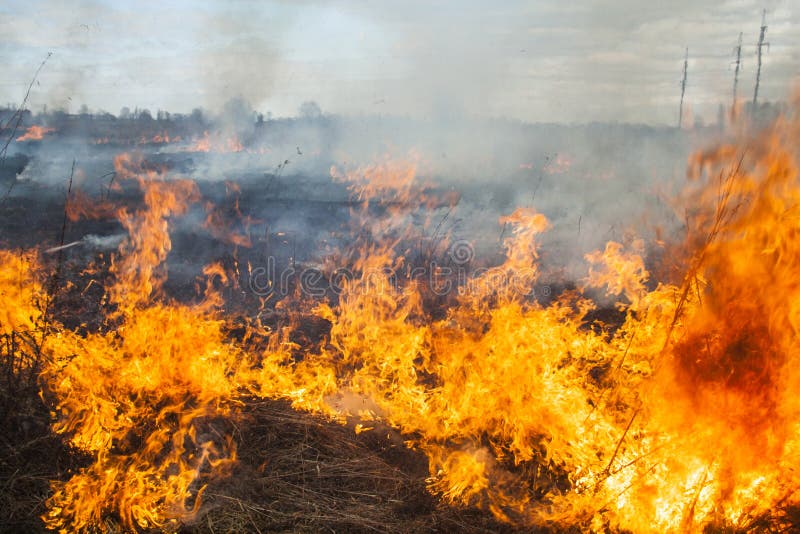 Big fire in the field stock photo. Image of damage, grass - 179504194