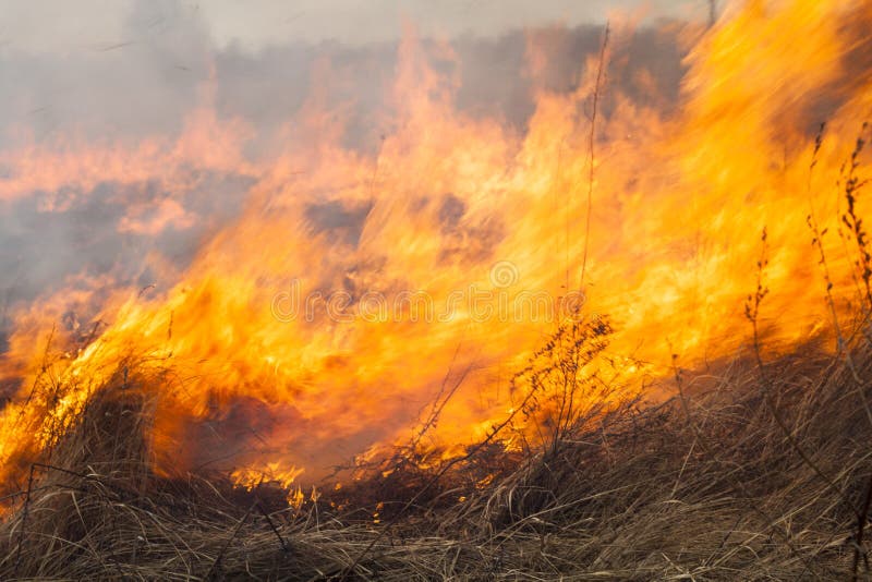 Big fire in the field stock photo. Image of hell, conflagration - 149325142