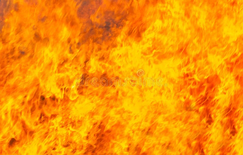 Big red fire in field stock photo. Image of wilderness - 4967208