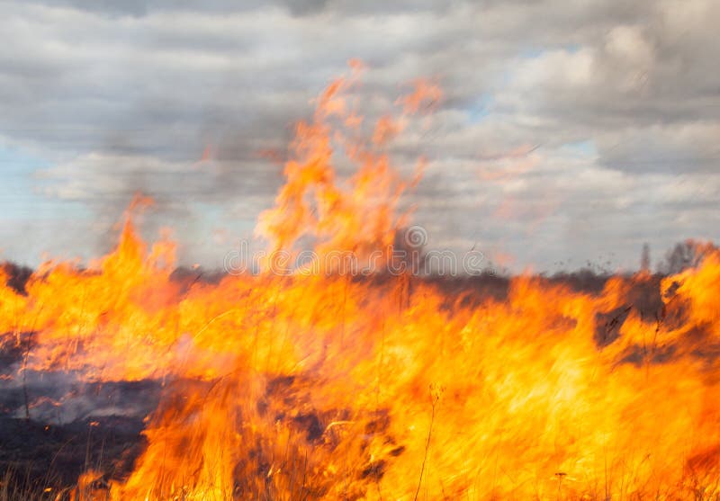 Big fire in the field stock photo. Image of ecology - 184358422