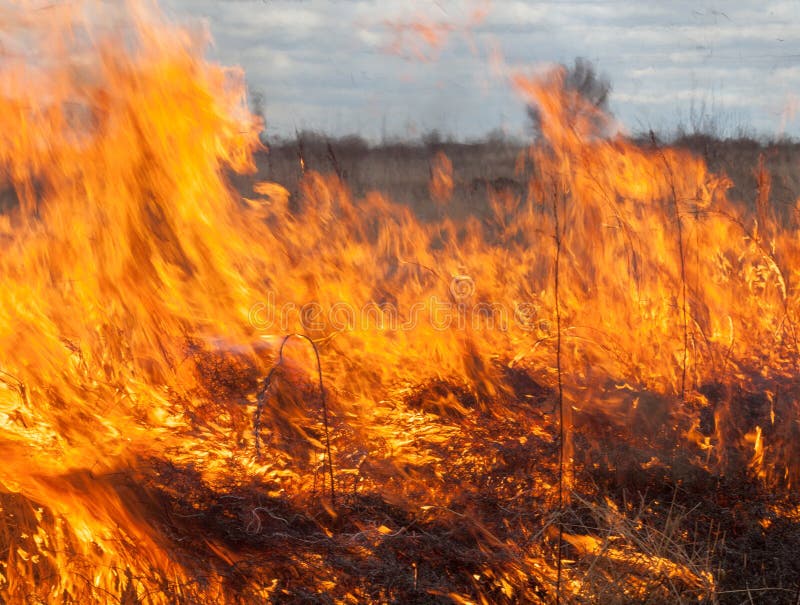 Big fire in the field stock image. Image of arson, danger - 184463131