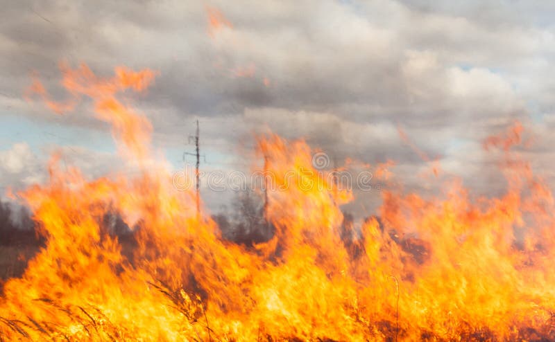 Big fire in the field stock image. Image of environmental - 184735705