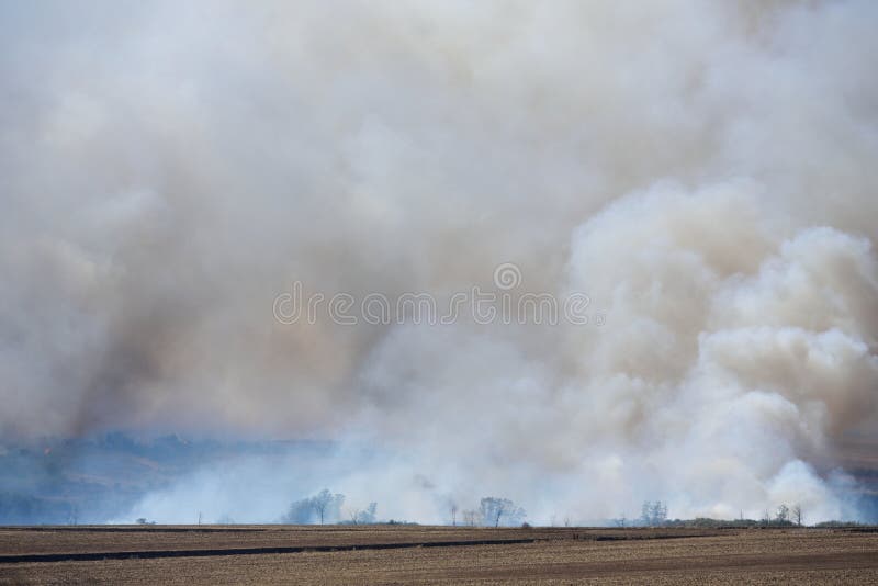 Big Fire in the Forest and in the Field, Thick Smoke High in the Sky ...