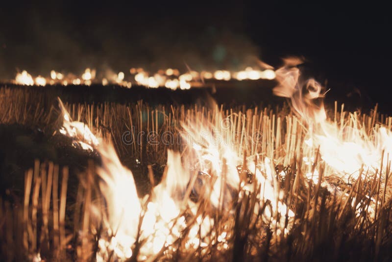 Big Fire and a Lot of Thick Smoke. Fire at Night Stock Image - Image of ...