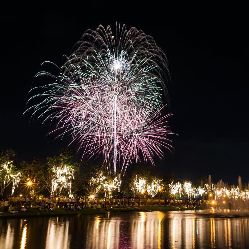 Big Fireworks in the Sky Over a Parks Stock Photo - Image of display ...
