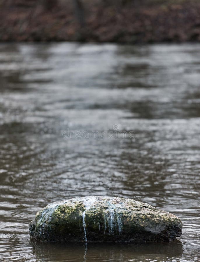 Big Flat Rock in the Middle of River with a Lot of Bird Droppings on it ...