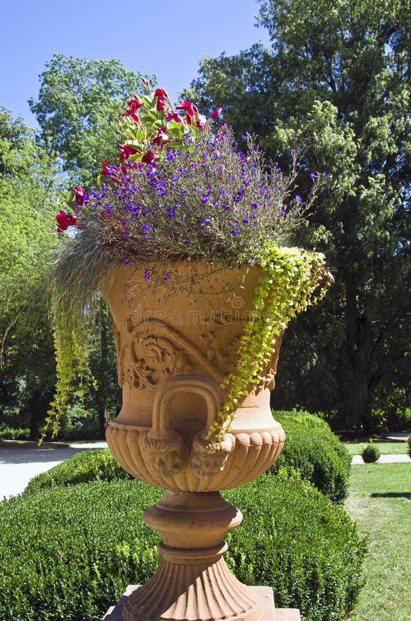 Big flower pot. stock photo. Image of plant, blossom - 27171660