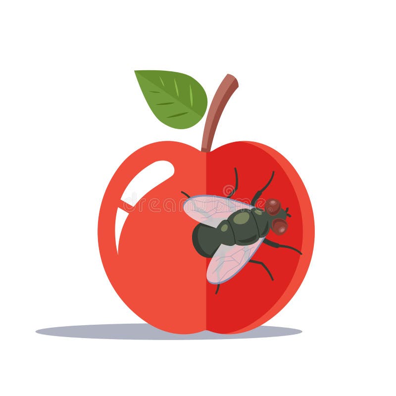 A Big Fly Sits on a Red Apple. Stock Vector - Illustration of leaf ...