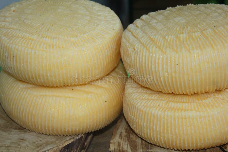 Big Forms of Fresh Cheese in the Market Stock Image - Image of market ...