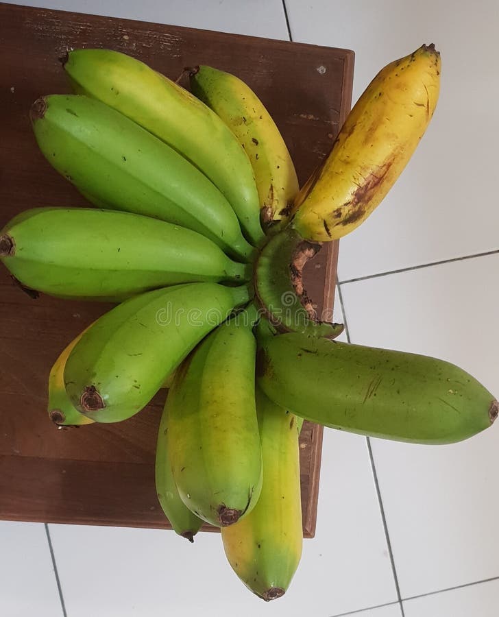 The big fresh bananas stock photo. Image of sweet, fruit - 286716026