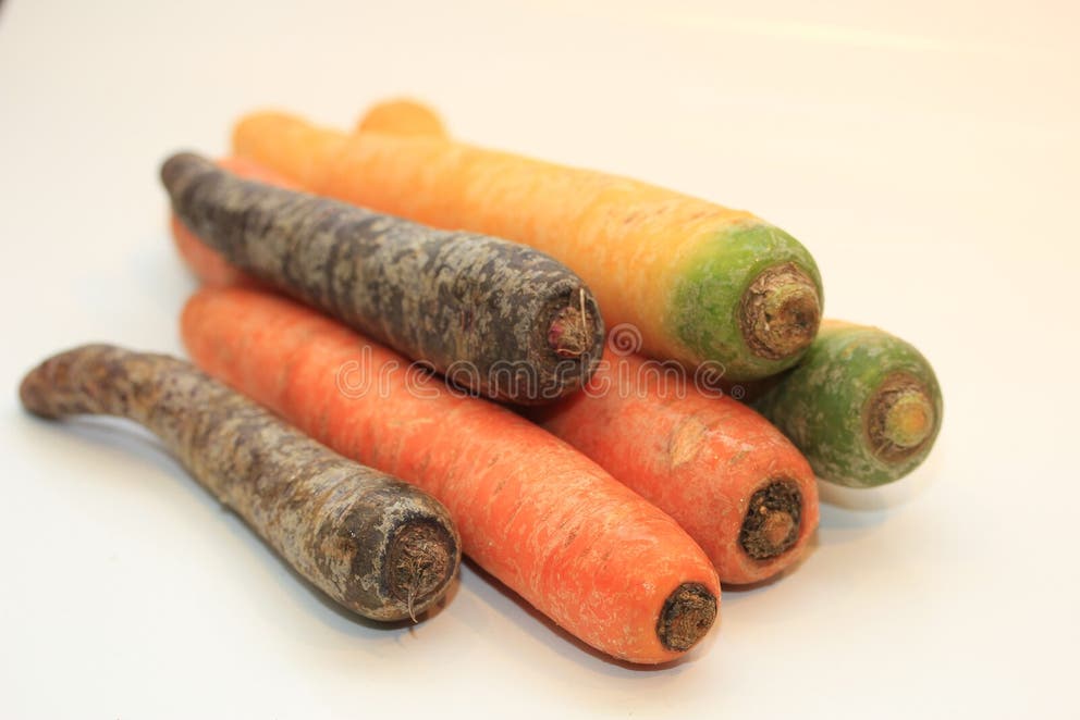 Big fresh carrots stock image. Image of natural, purple - 85103137