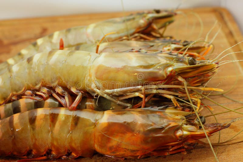 Big Fresh Tiger Prawns, Shrimp Stock Photo - Image of shellfish, shrimp ...