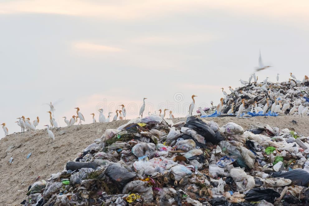 Big garbage heap stock image. Image of recycling, iron - 55166519