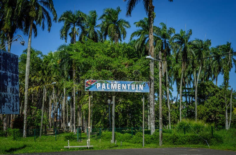 Palmentuin in Paramaribo editorial stock image. Image of landmark ...
