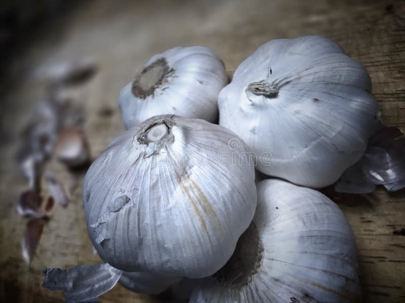 Garlic stock photo. Image of vegetable, spices, garlic - 186206924