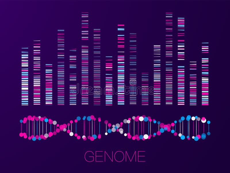 Genomic Evolution Stock Illustrations – 245 Genomic Evolution Stock ...