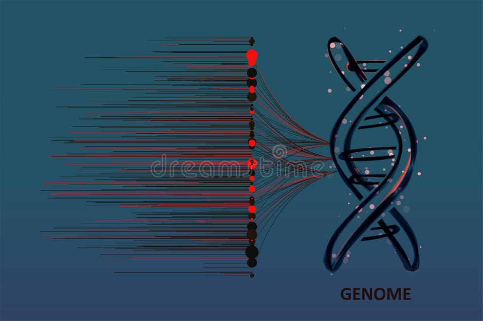 Big Genomic Data Visualization Stock Vector - Illustration of xdna ...