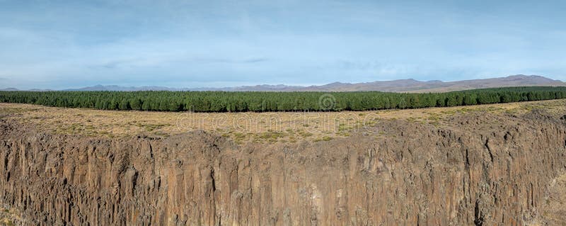 Big Geological Basalt Columns Cliff Under Pine Tree Forest. Panorama ...