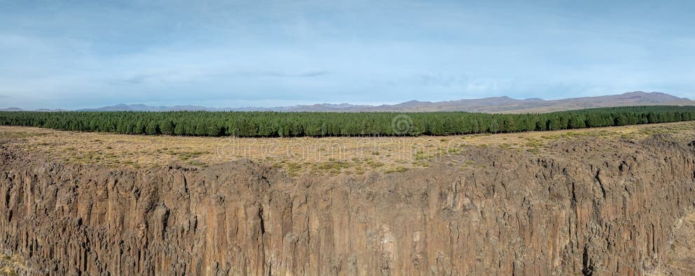 Big Geological Basalt Columns Cliff Under Pine Tree Forest. Panorama ...