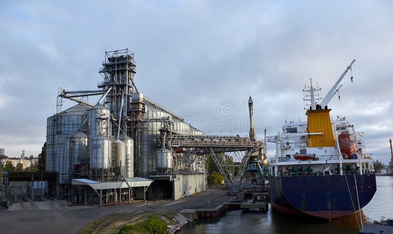 Big Grain Terminal at Seaport. Cereals Bulk Transshipment from Road ...